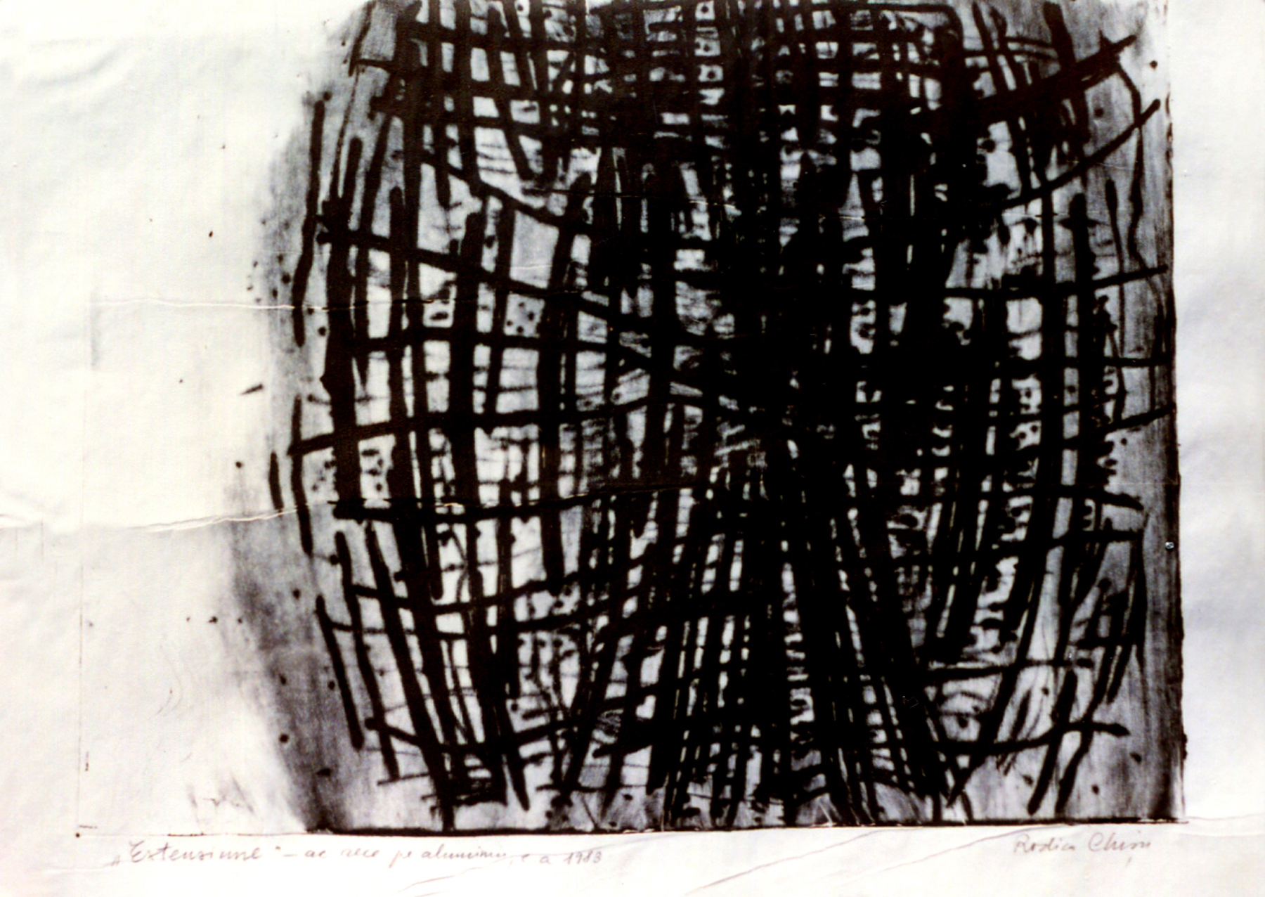 Rodica Chisu – Retrospective