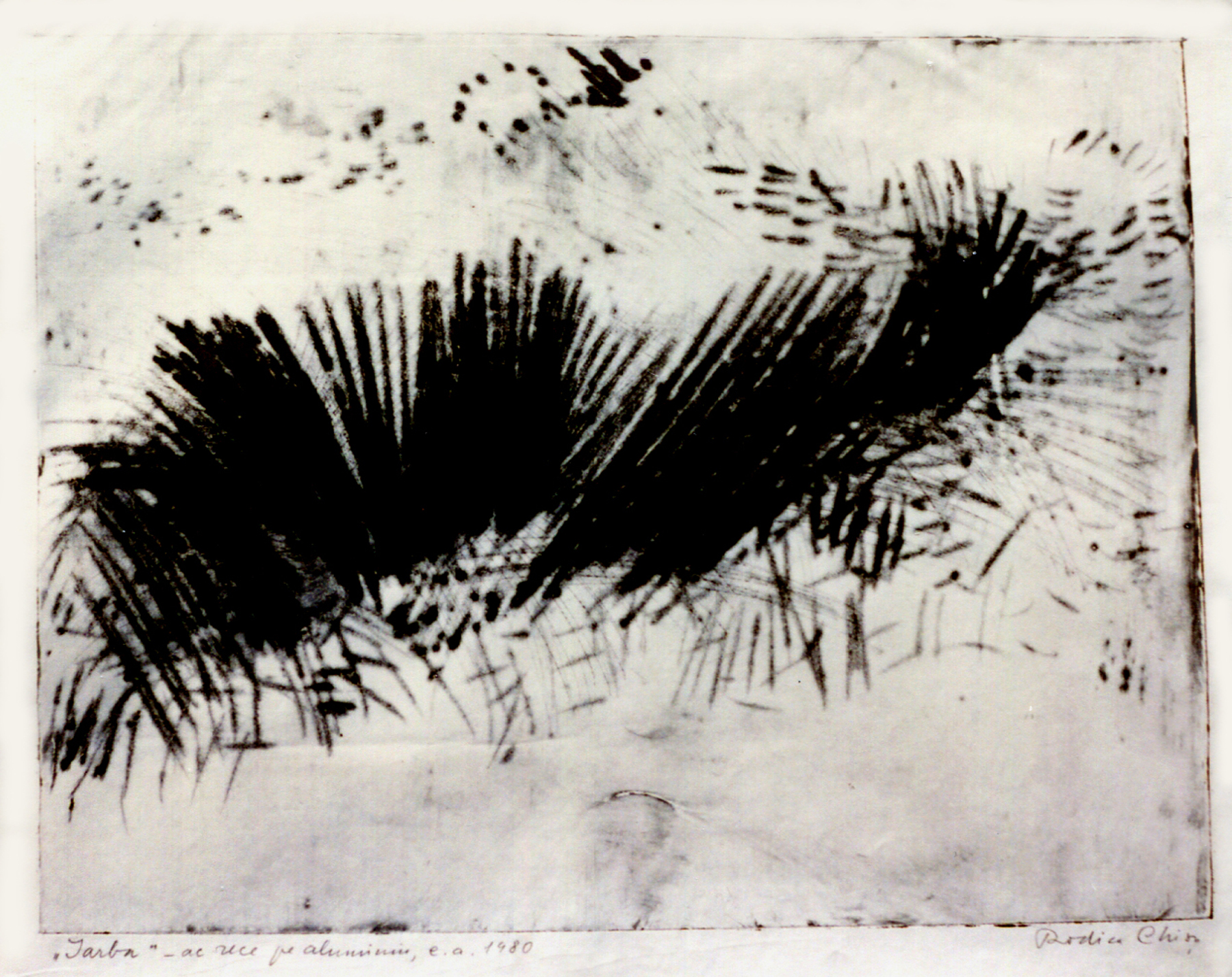 Rodica Chisu – Retrospective